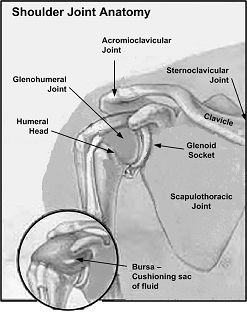 AC Joint Exercise for Stronger Shoulders!